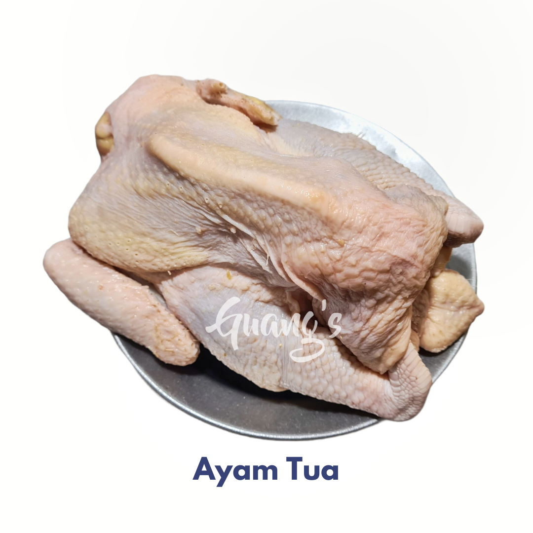 Ayam Png Mixed Ayam Cemani With A Frizzle : R/BackYardChickens