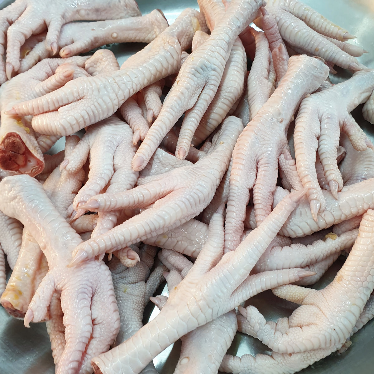 Chicken Feet (1kg) – Guang's Fresh Mart