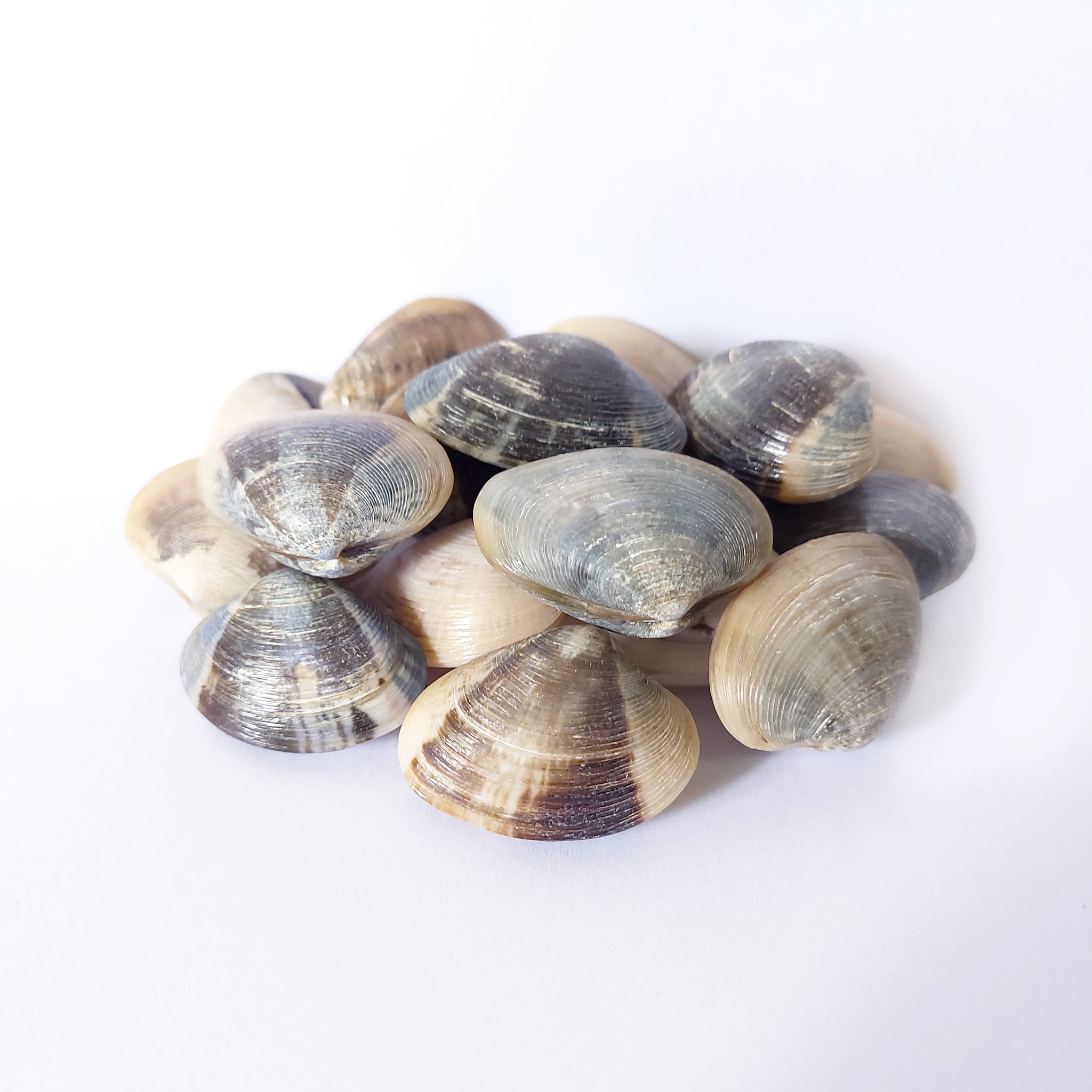 Fresh Shellfish by Guang's Fresh Mart