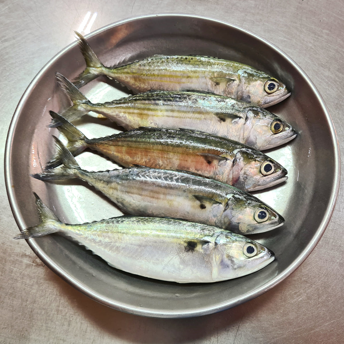 Kembong Fish / Indian Mackerel (1kg) – Guang's Fresh Mart