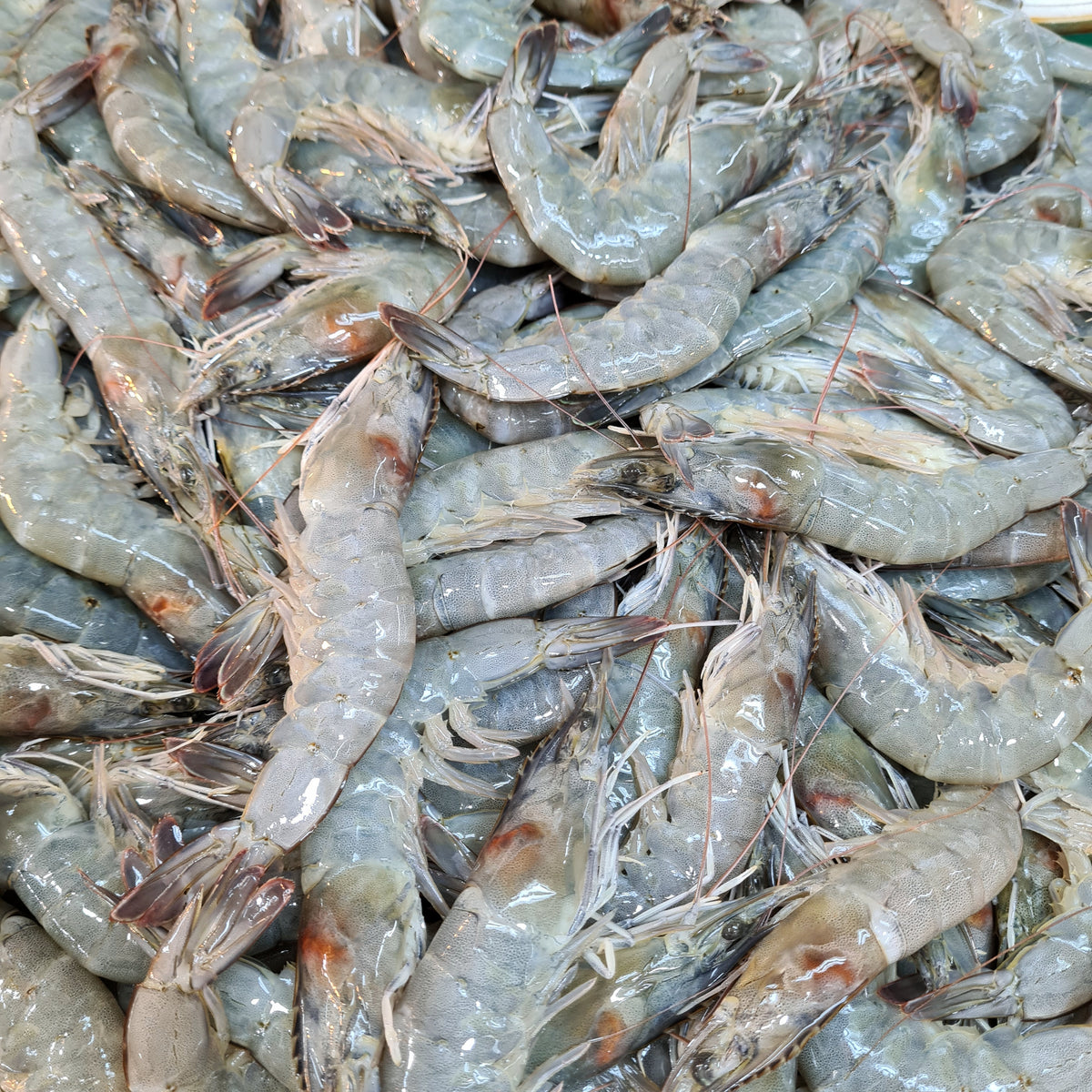 Medium Grey Prawns (1kg) – Guang's Fresh Mart